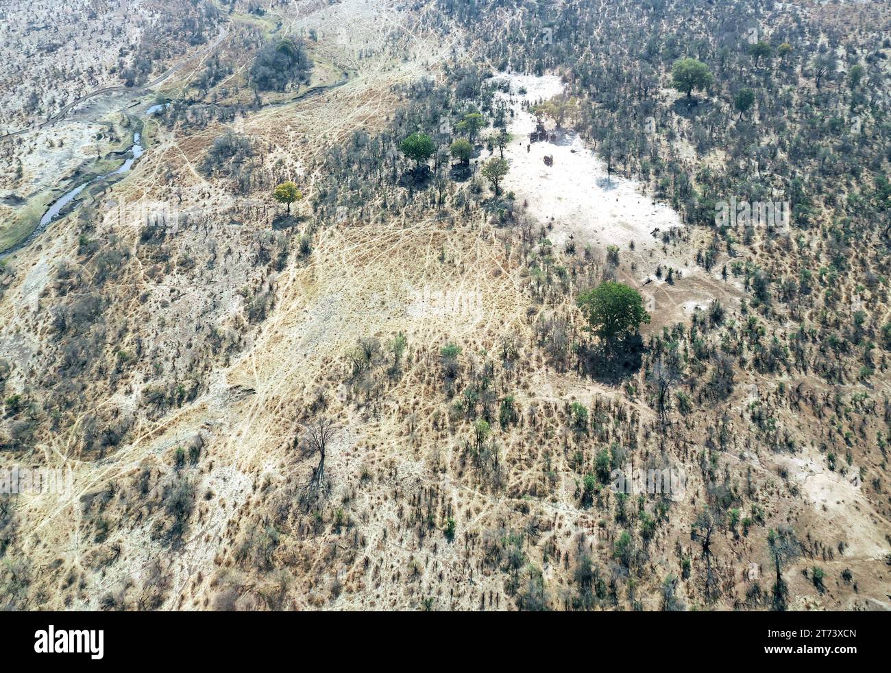 dry season, Zambezi National Park from the air, Zimbabwe, Africa Stock ...