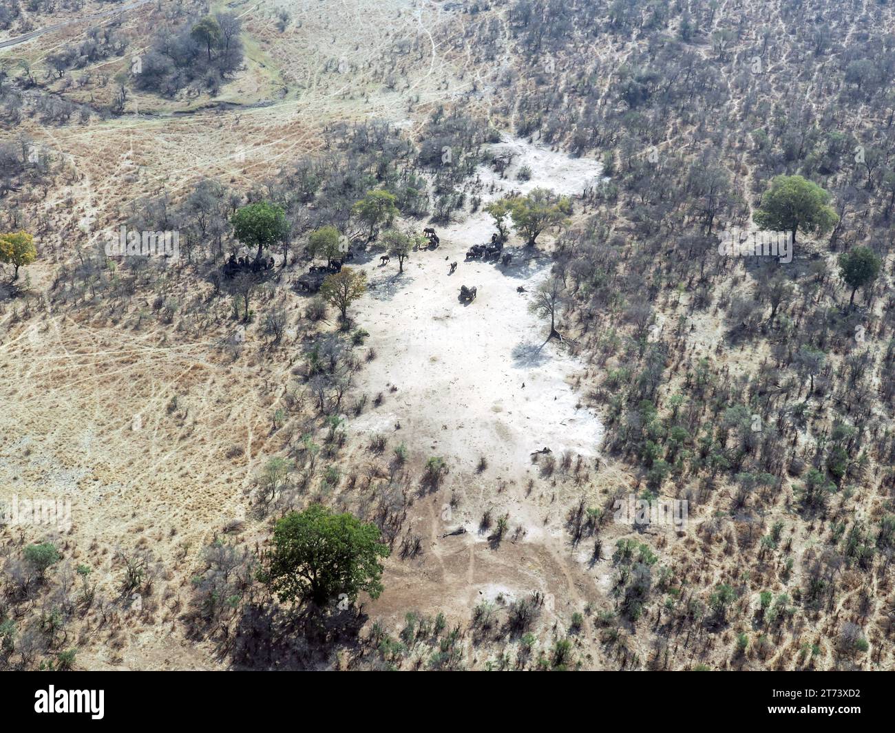 Lon 25 79353809 hi-res stock photography and images - Alamy
