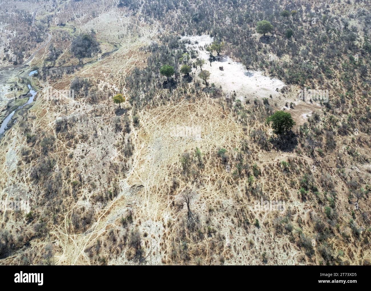 dry season, Zambezi National Park from the air, Zimbabwe, Africa Stock ...