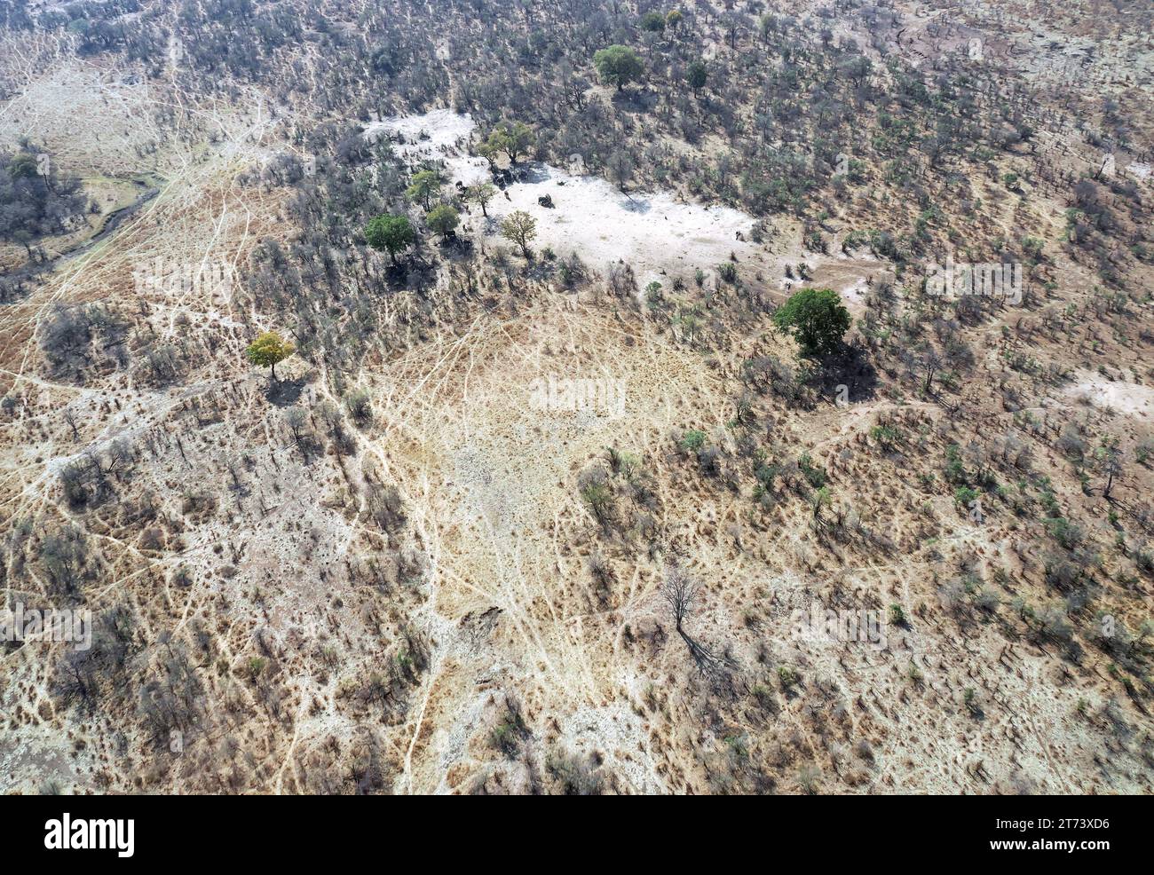 dry season, Zambezi National Park from the air, Zimbabwe, Africa Stock ...