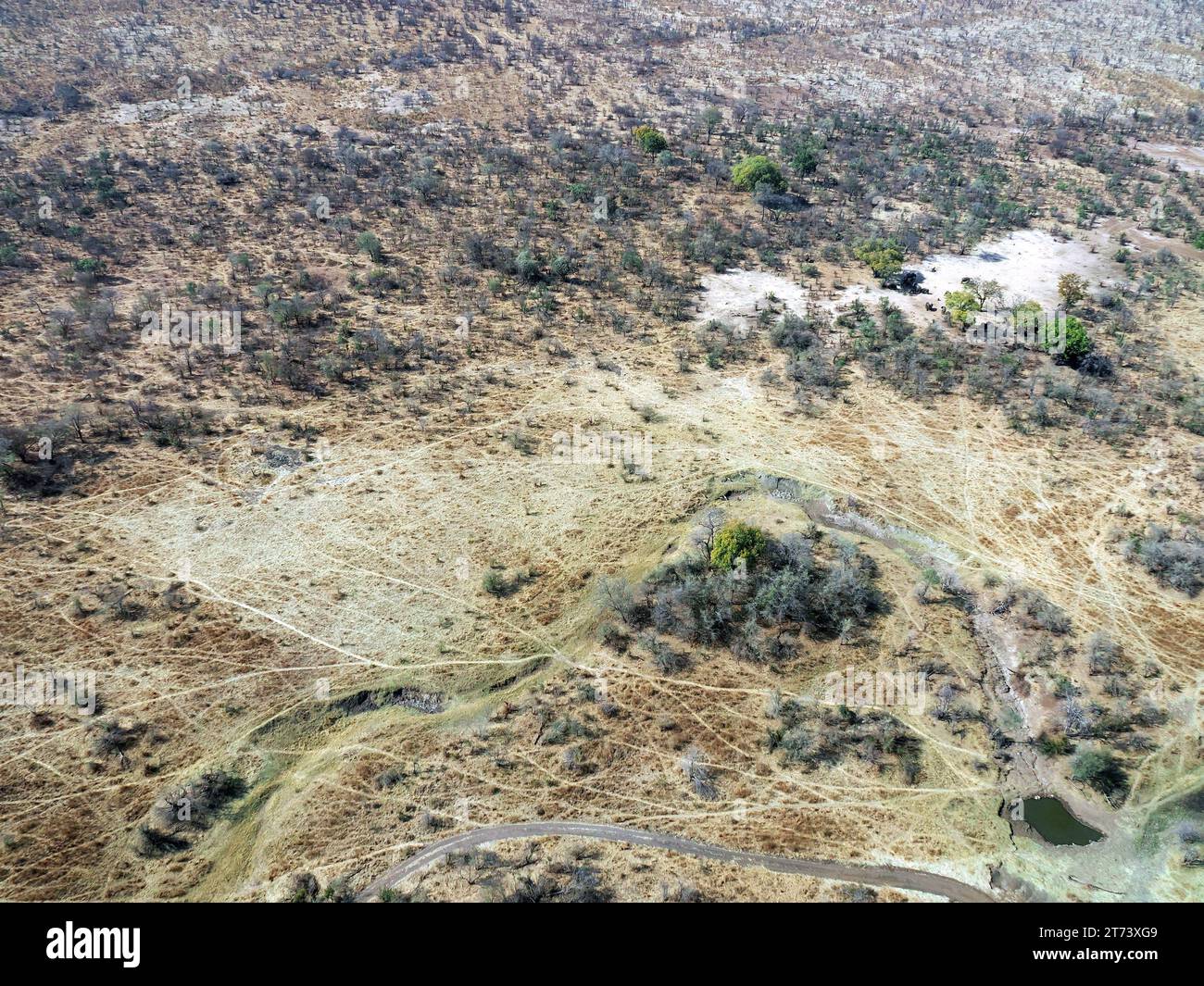 dry season, Zambezi National Park from the air, Zimbabwe, Africa Stock ...
