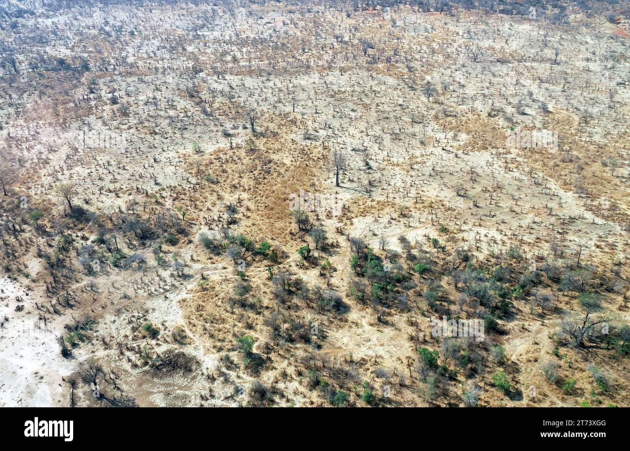 dry season, Zambezi National Park from the air, Zimbabwe, Africa Stock ...