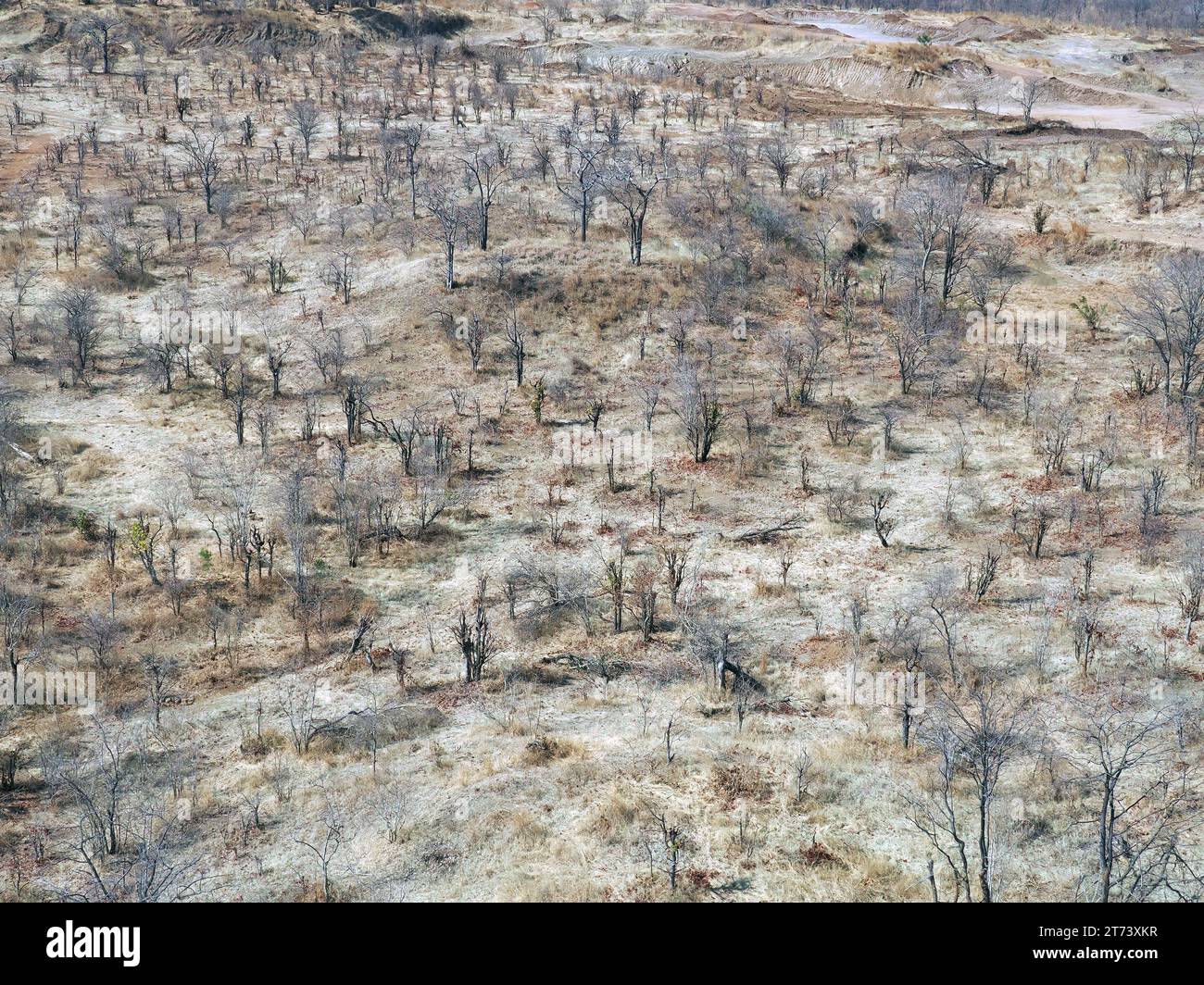 dry season, Zambezi National Park from the air, Zimbabwe, Africa Stock ...