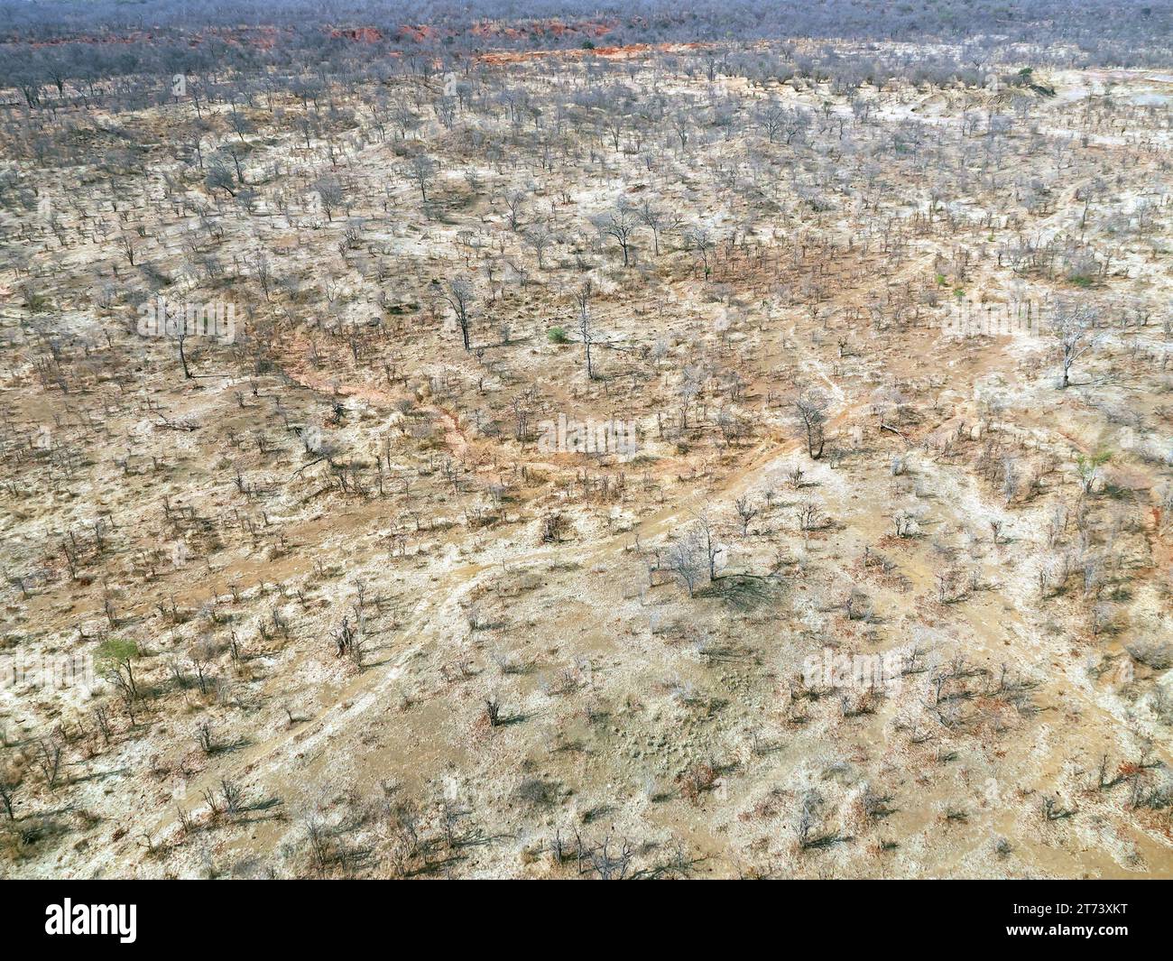 dry season, Zambezi National Park from the air, Zimbabwe, Africa Stock ...
