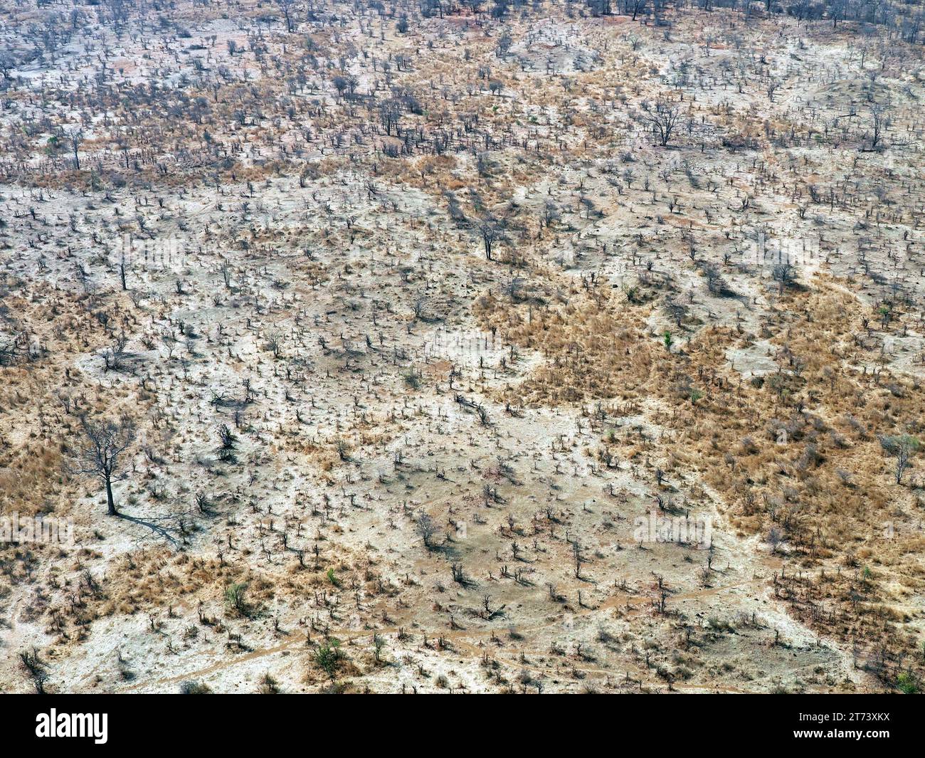 dry season, Zambezi National Park from the air, Zimbabwe, Africa Stock ...