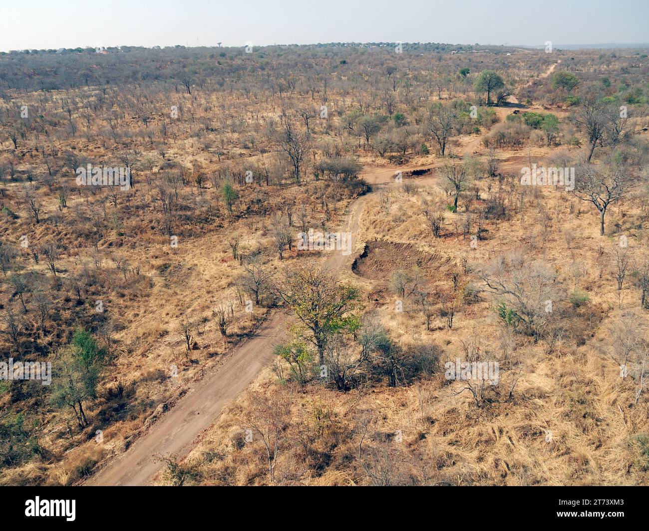 dry season, Zambezi National Park from the air, Zimbabwe, Africa Stock ...
