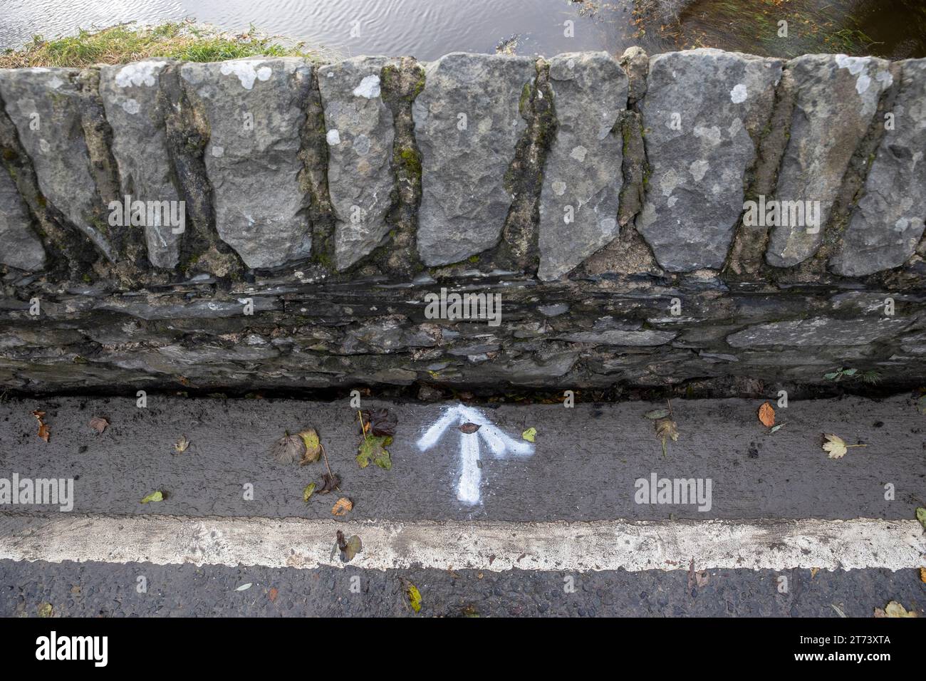 An arrow points to a spot on the Quoile bridge on the Killyleagh Road ...