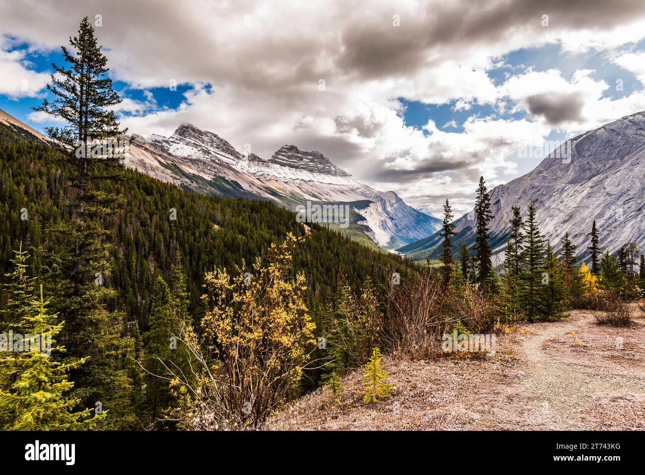 View down the river valley from Cirrus Mountain Viewpoint (aka Big Bend ...