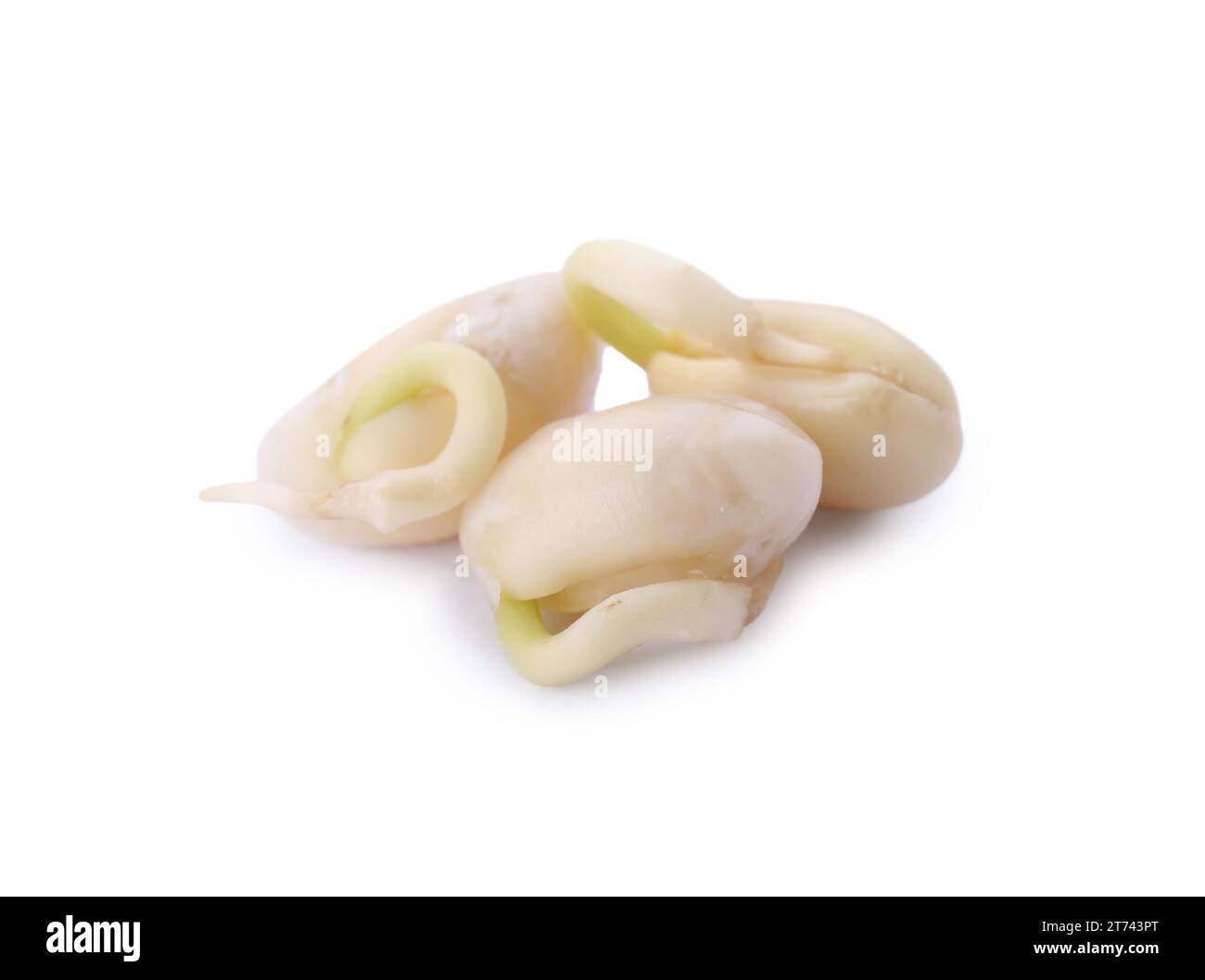 Three sprouted kidney beans isolated on white Stock Photo - Alamy