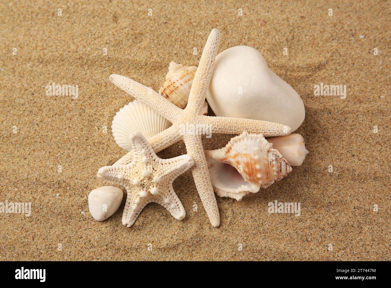 Collection various sea stones hi-res stock photography and images - Alamy