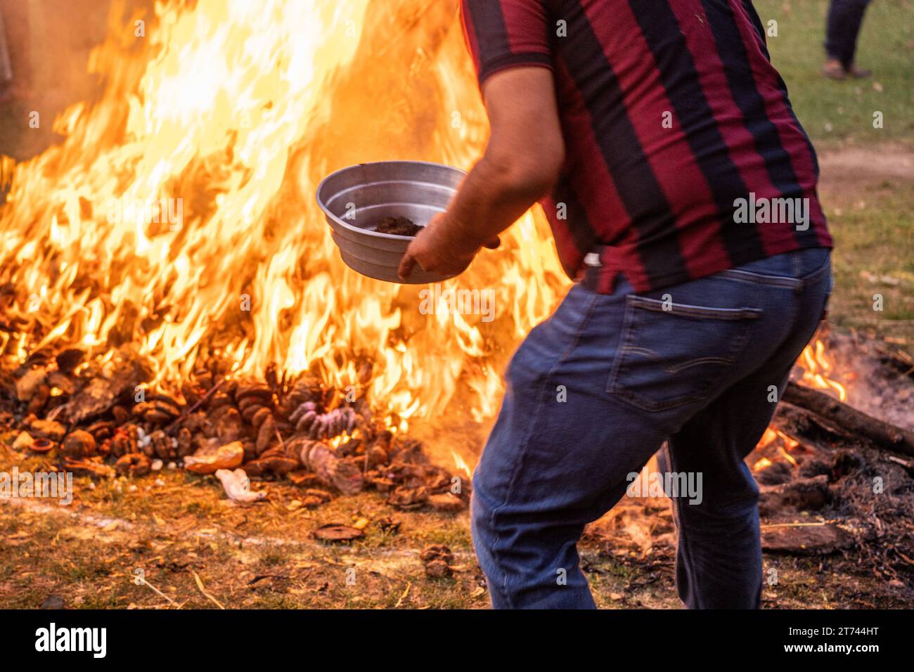 man bending down in front of bonfire to collect coals, roasted wheat ...
