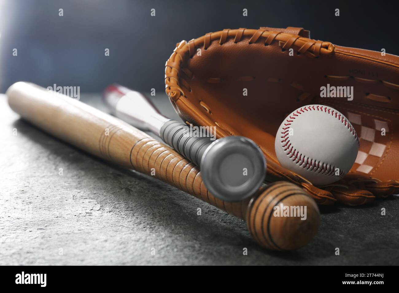 Grey bats hi-res stock photography and images - Alamy
