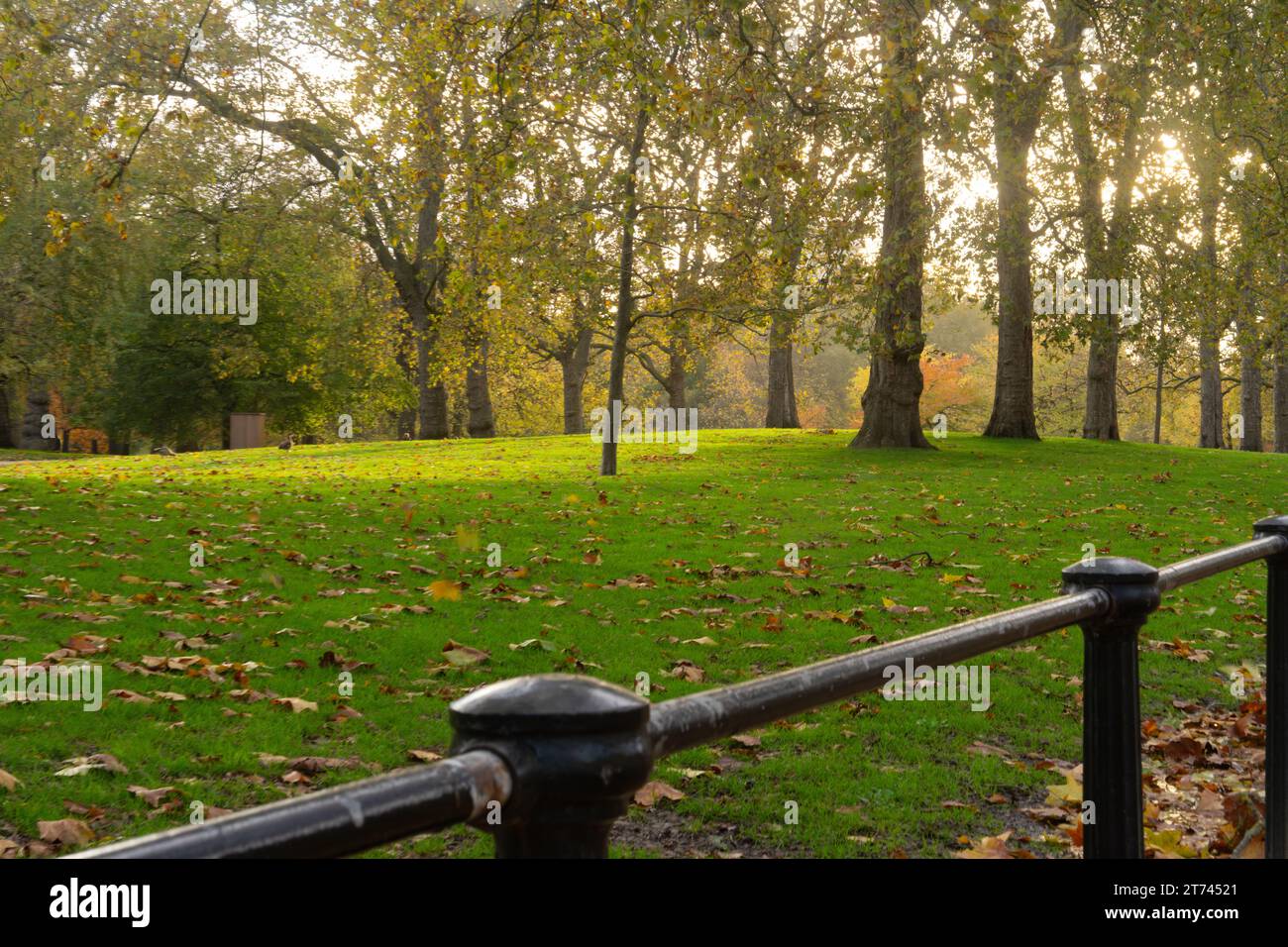 St James's Royal Park is a 23-hectare urban park in the City of ...