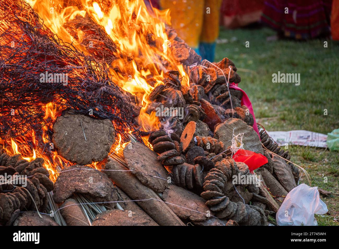 cow dung cakes on thread kept together and used as alternate fuel for ...