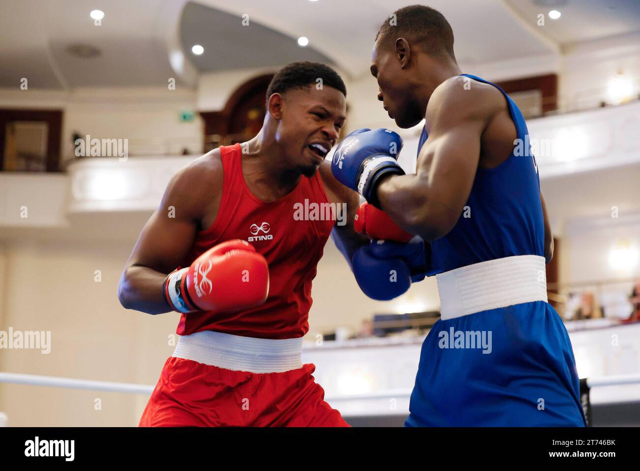 Koeln 28.10.2023 Cologne Boxing Cup 2023 Cologne Boxing Cup 2023 im ...