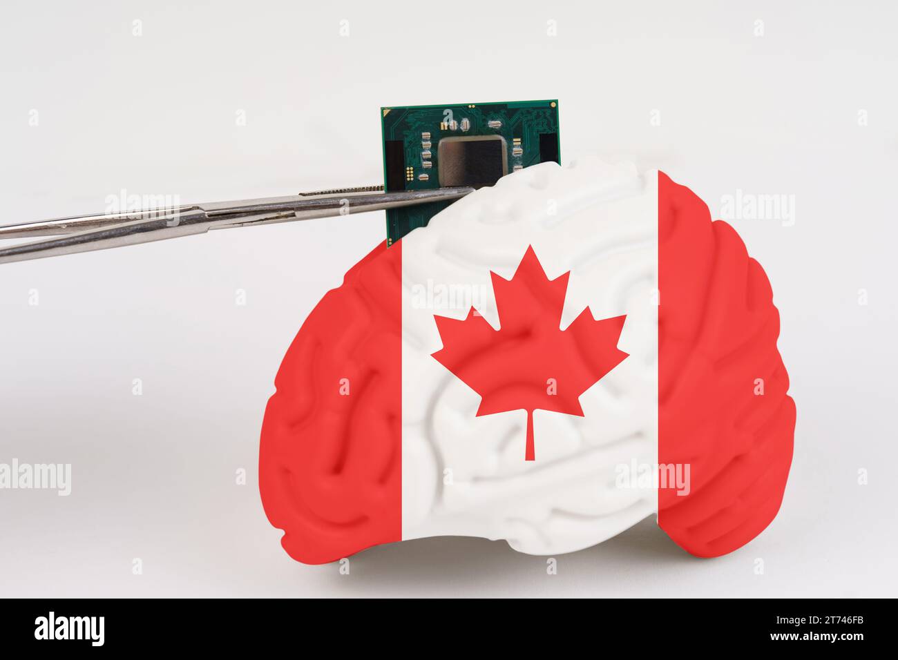 On a white background, a model of the brain with a picture of a flag ...