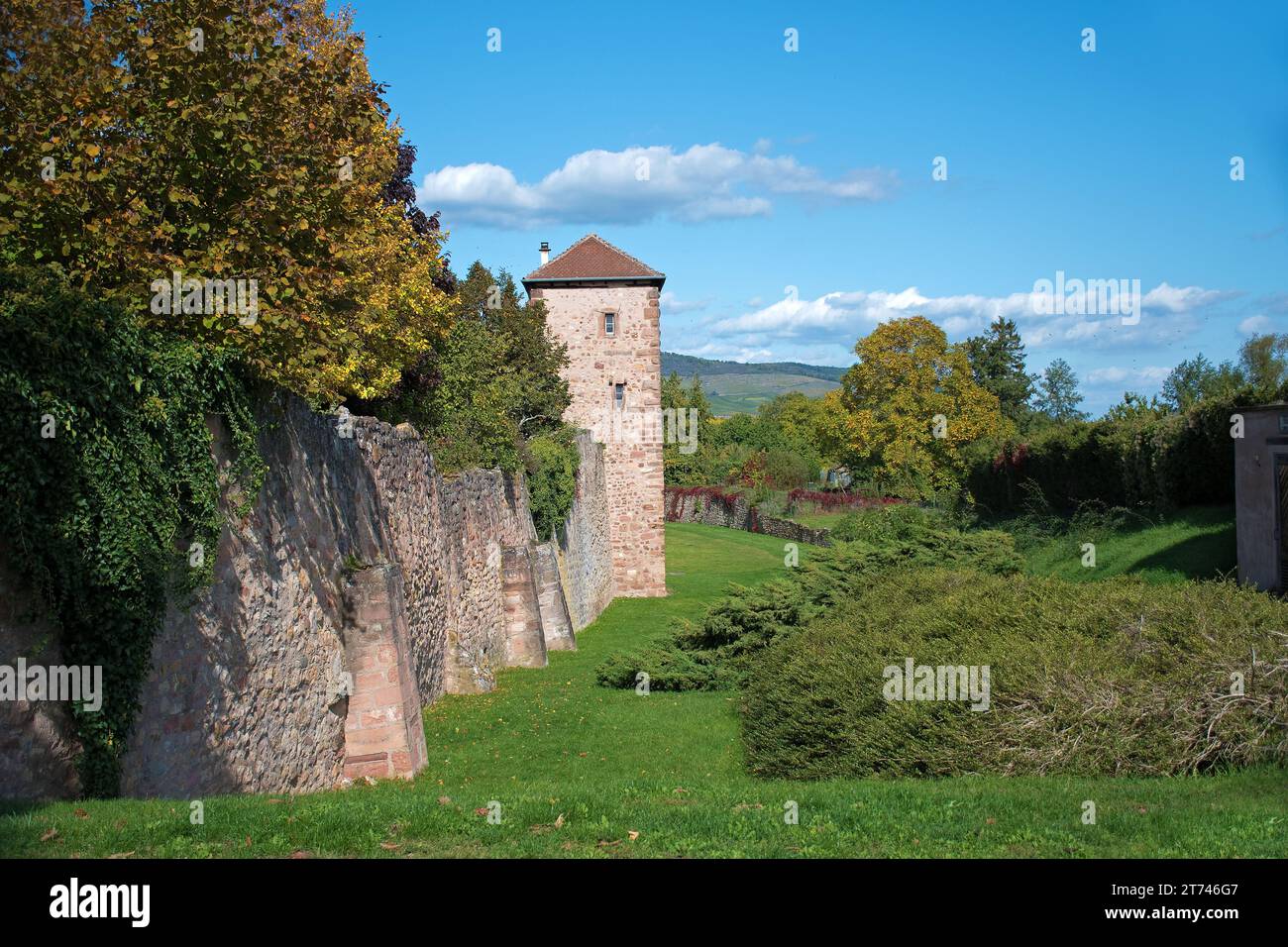 Bergheim, rectangular half-timbered tower in the town wall and moat ...