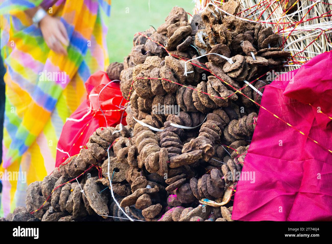 cow dung cakes on thread kept together and used as alternate fuel for ...
