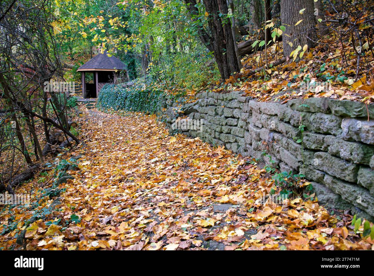 Canopy stairway hi-res stock photography and images - Alamy