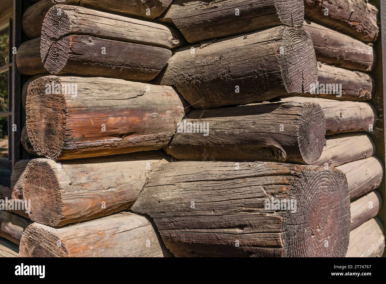 The log cabin joinery of a cabin corner in Yosemite National Park ...