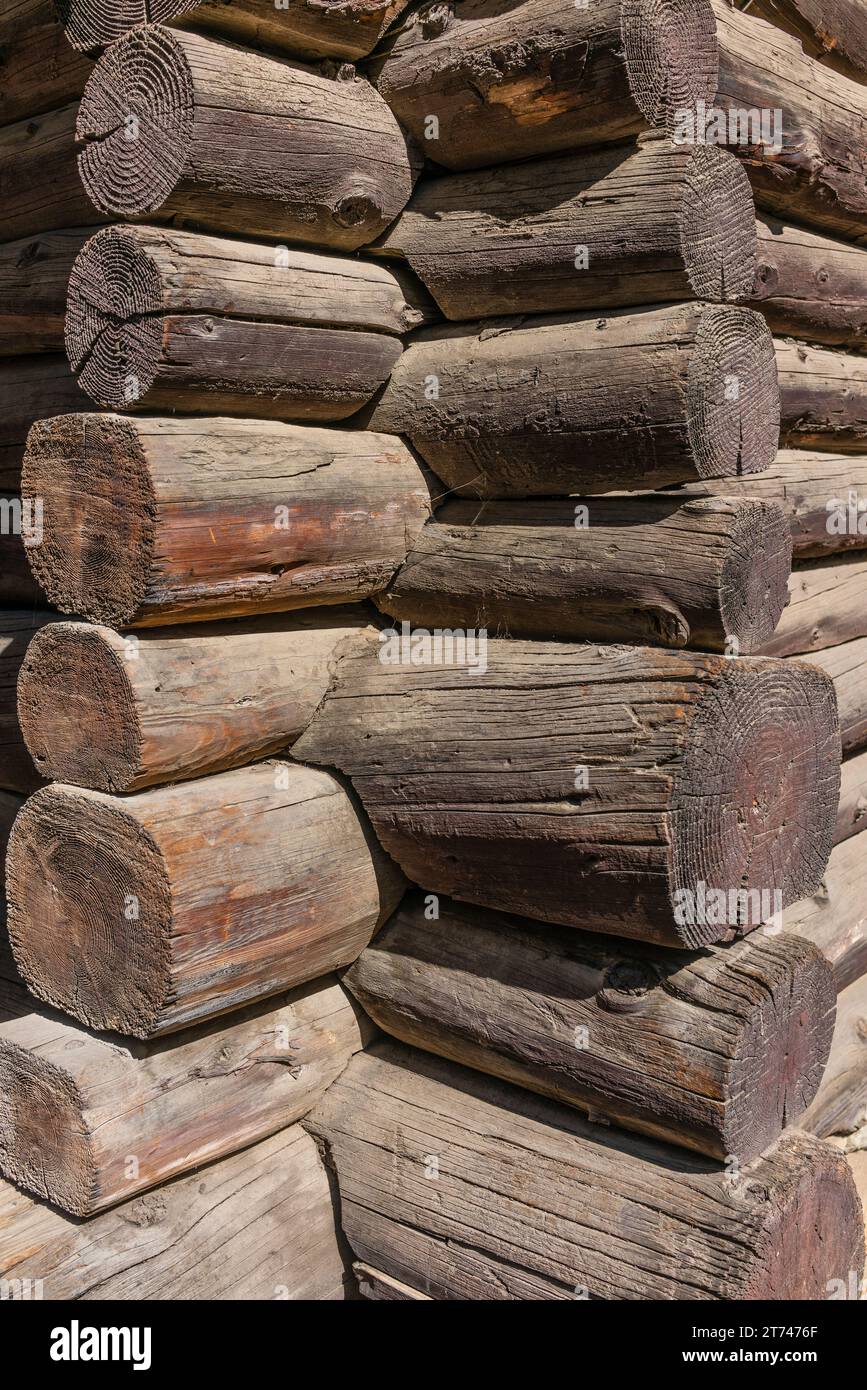 The log cabin joinery of a cabin corner in Yosemite National Park ...