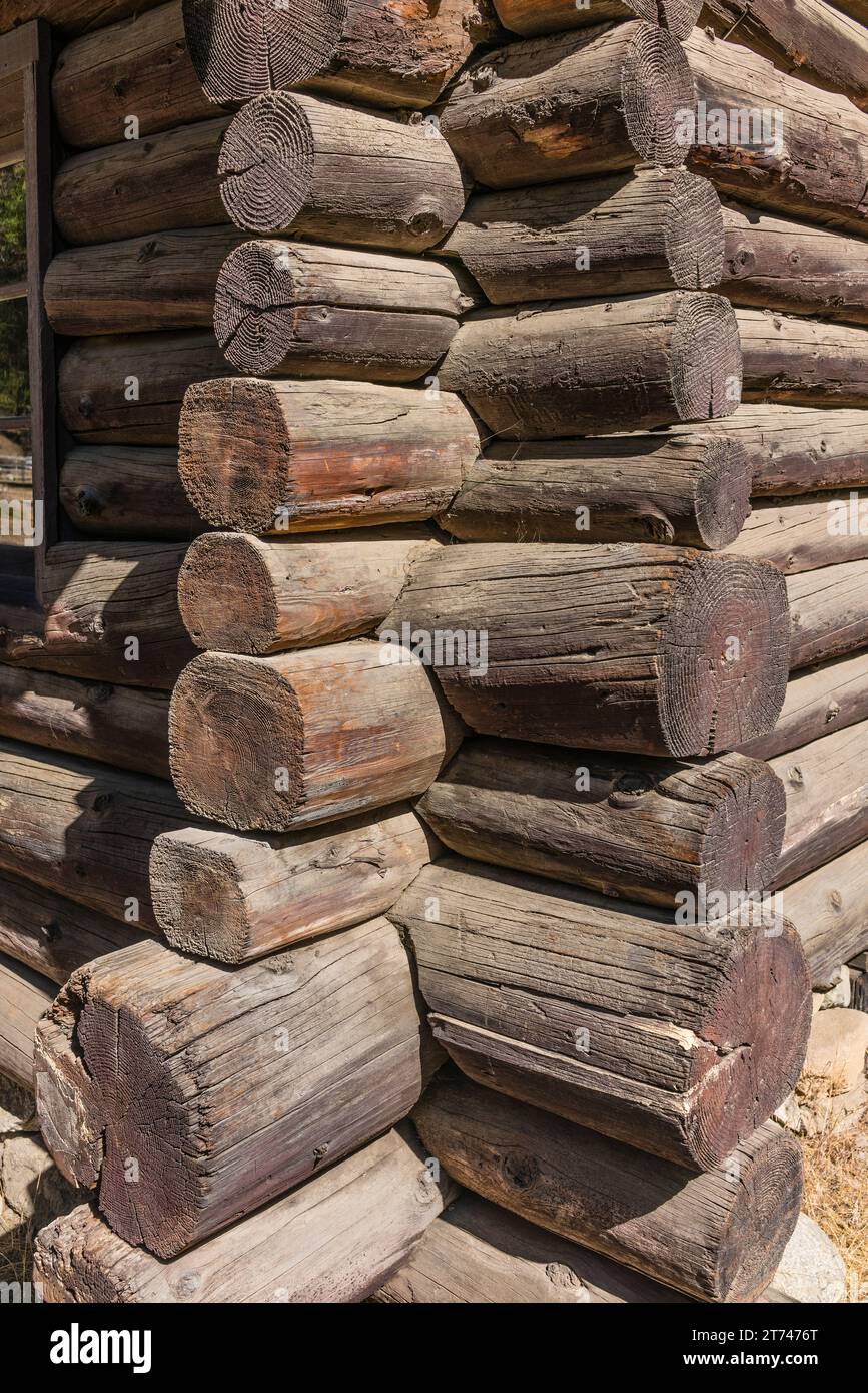 The log cabin joinery of a cabin corner in Yosemite National Park ...