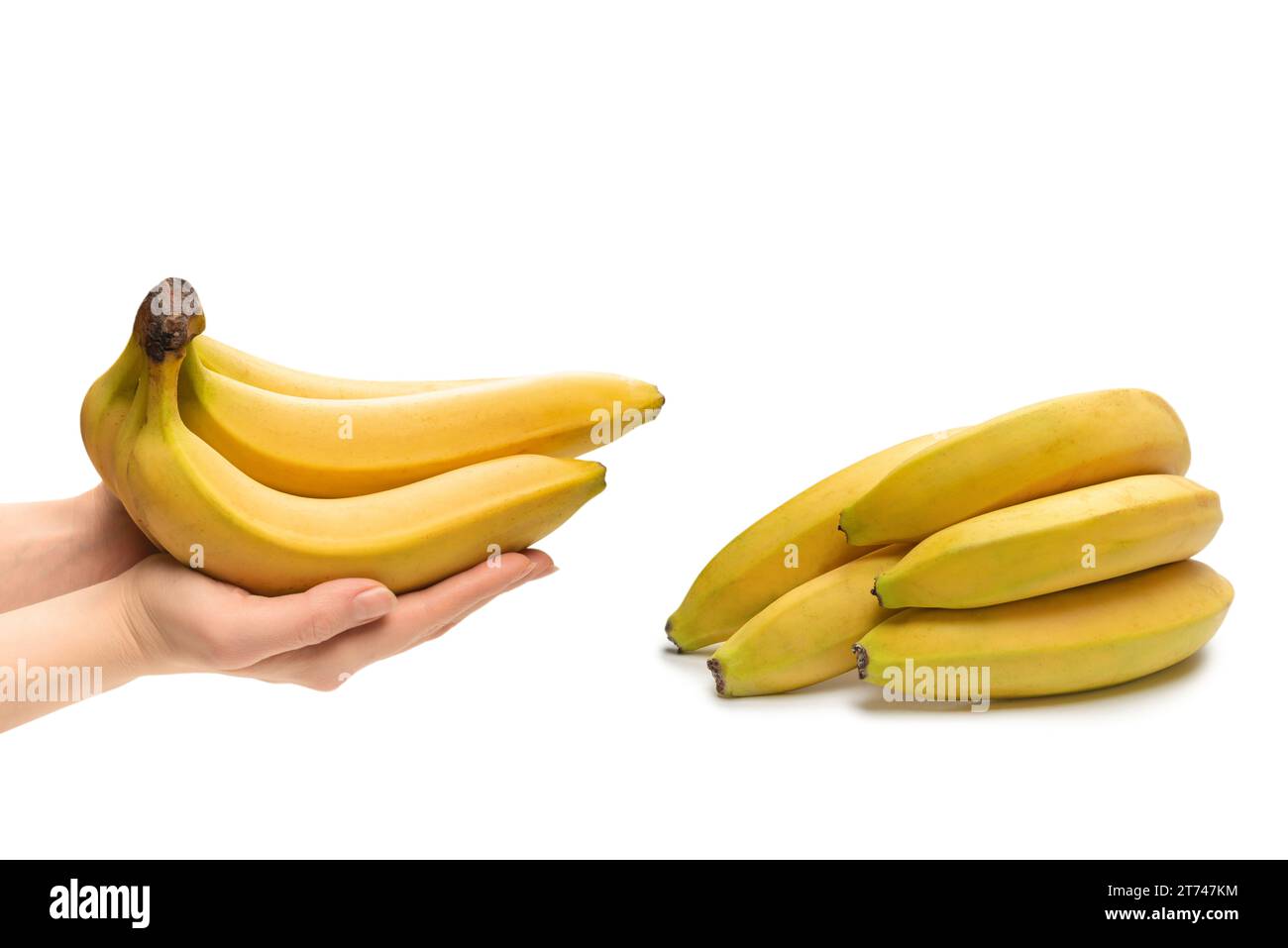 A bunch of bananas in woman hand isolated on a white background Stock ...
