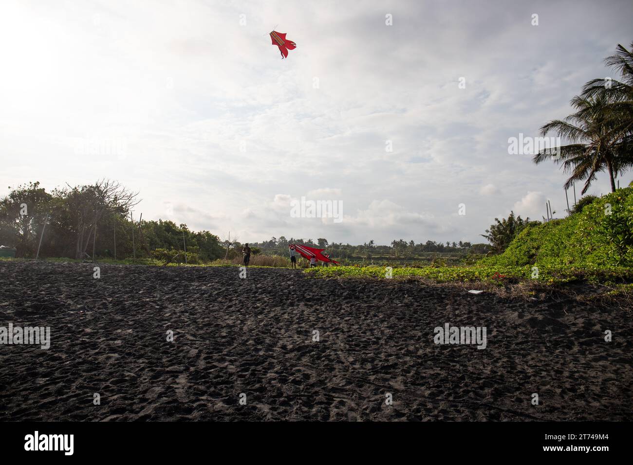 Traditional kites in the sky. Beautiful tropical landscape in Bali ...