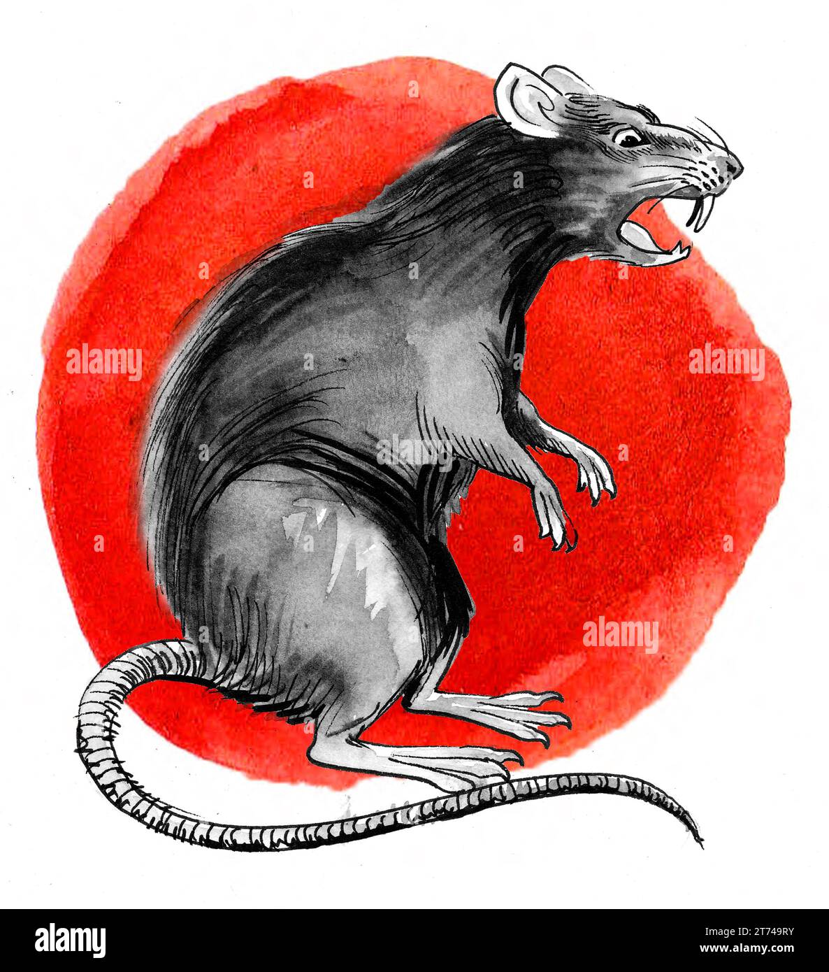 Angry rat. Hand-drawn vintage styled ink and watercolor illustration ...