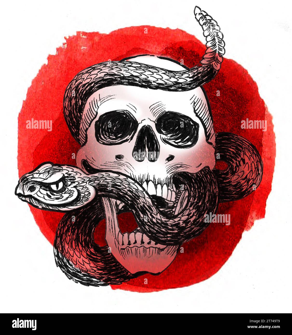 Skull and rattle snake. Hand-drawn ink and watercolor illustration ...