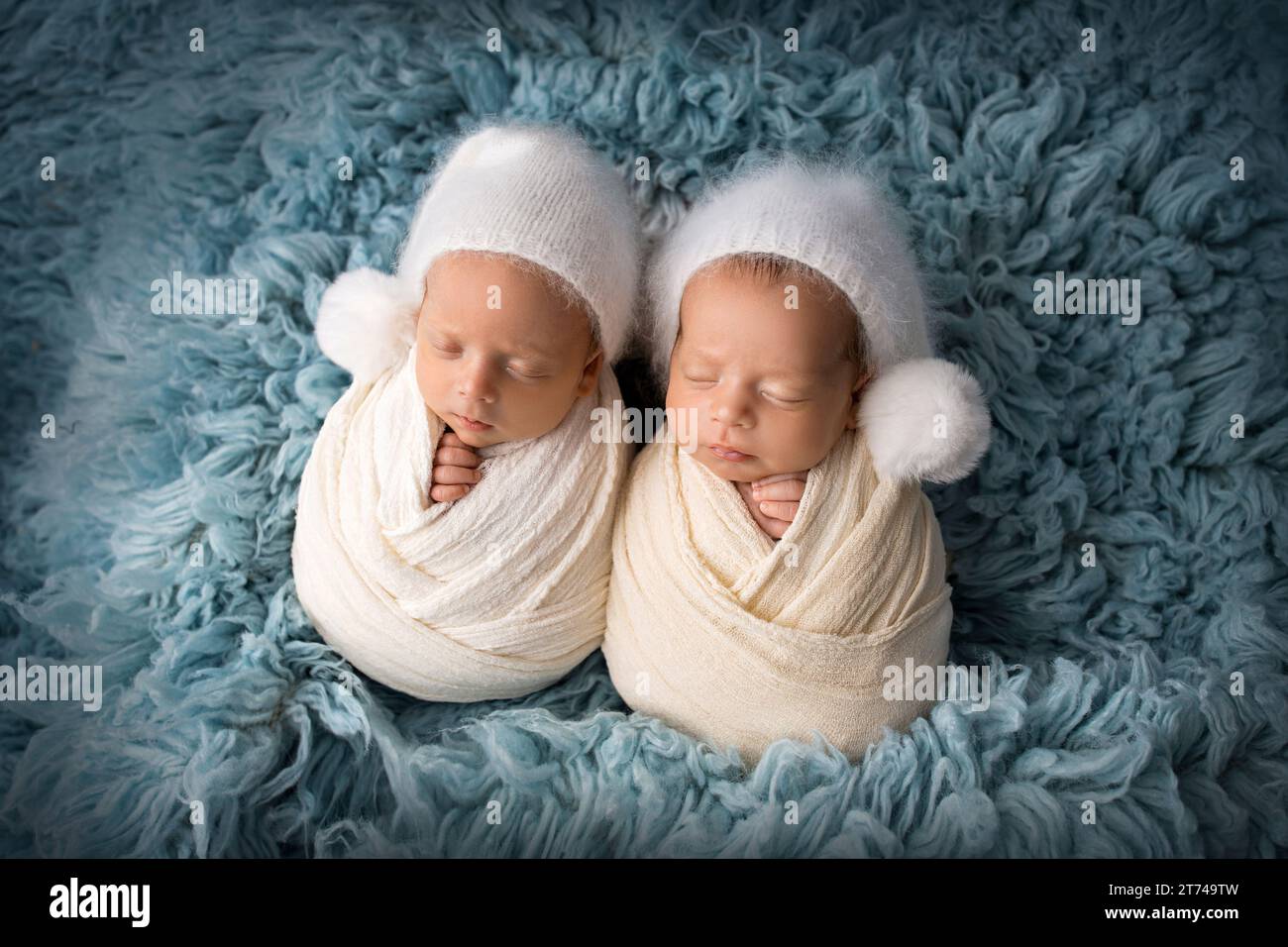 Tiny newborn twin boys in white cocoons on a blue background in white ...
