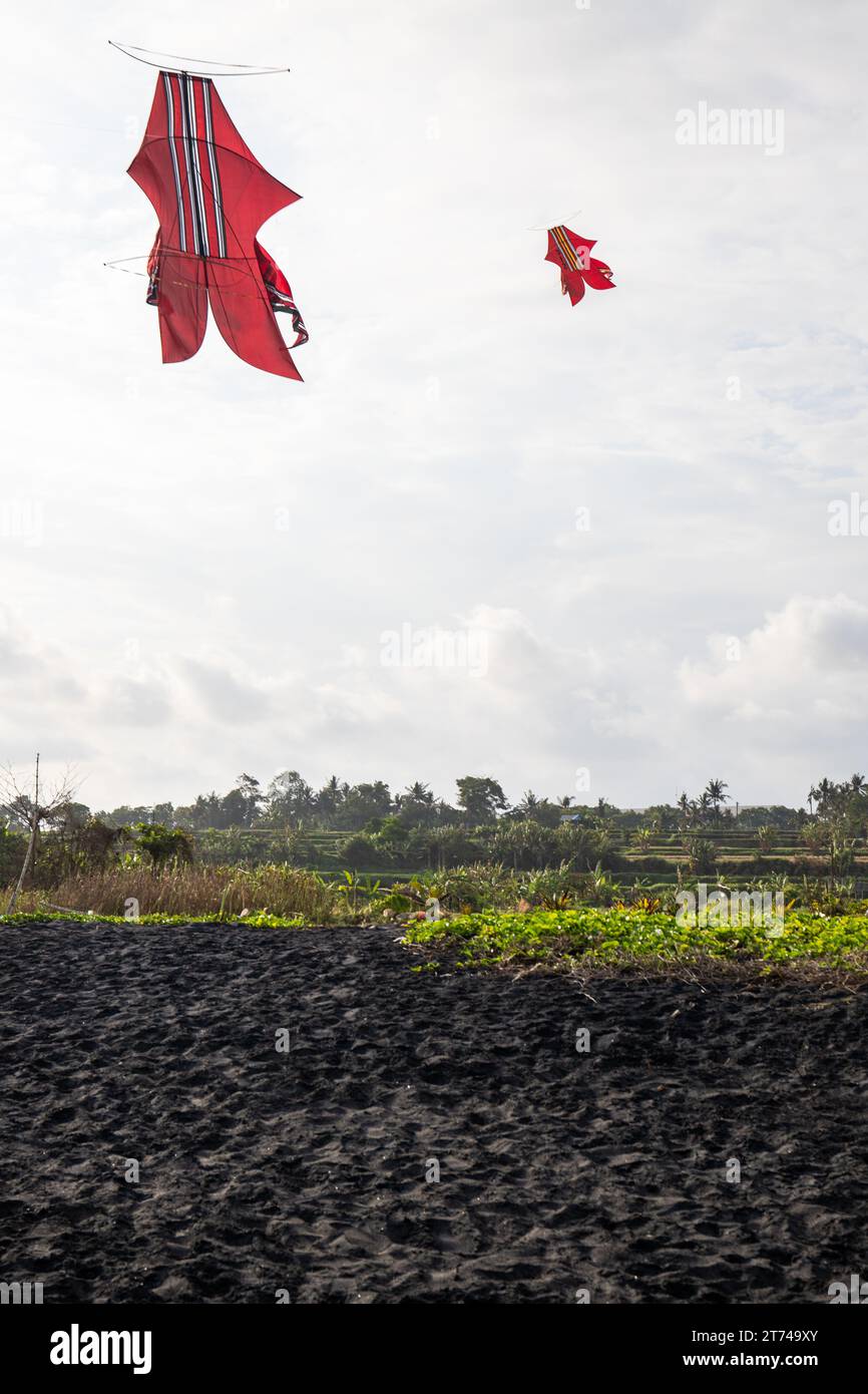 Traditional kites in the sky. Beautiful tropical landscape in Bali ...