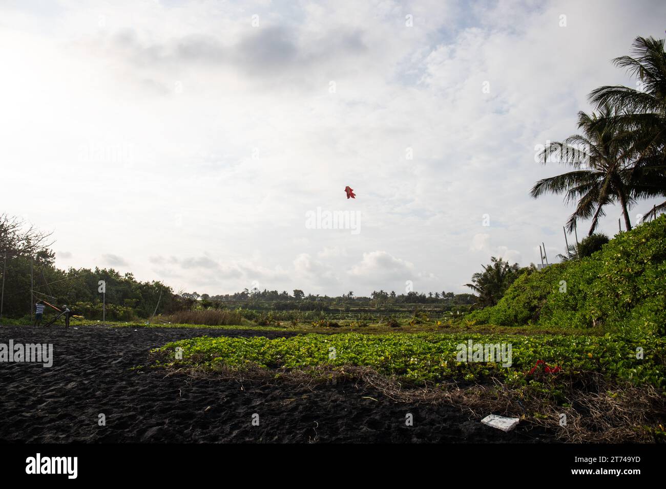 Traditional kites in the sky. Beautiful tropical landscape in Bali ...