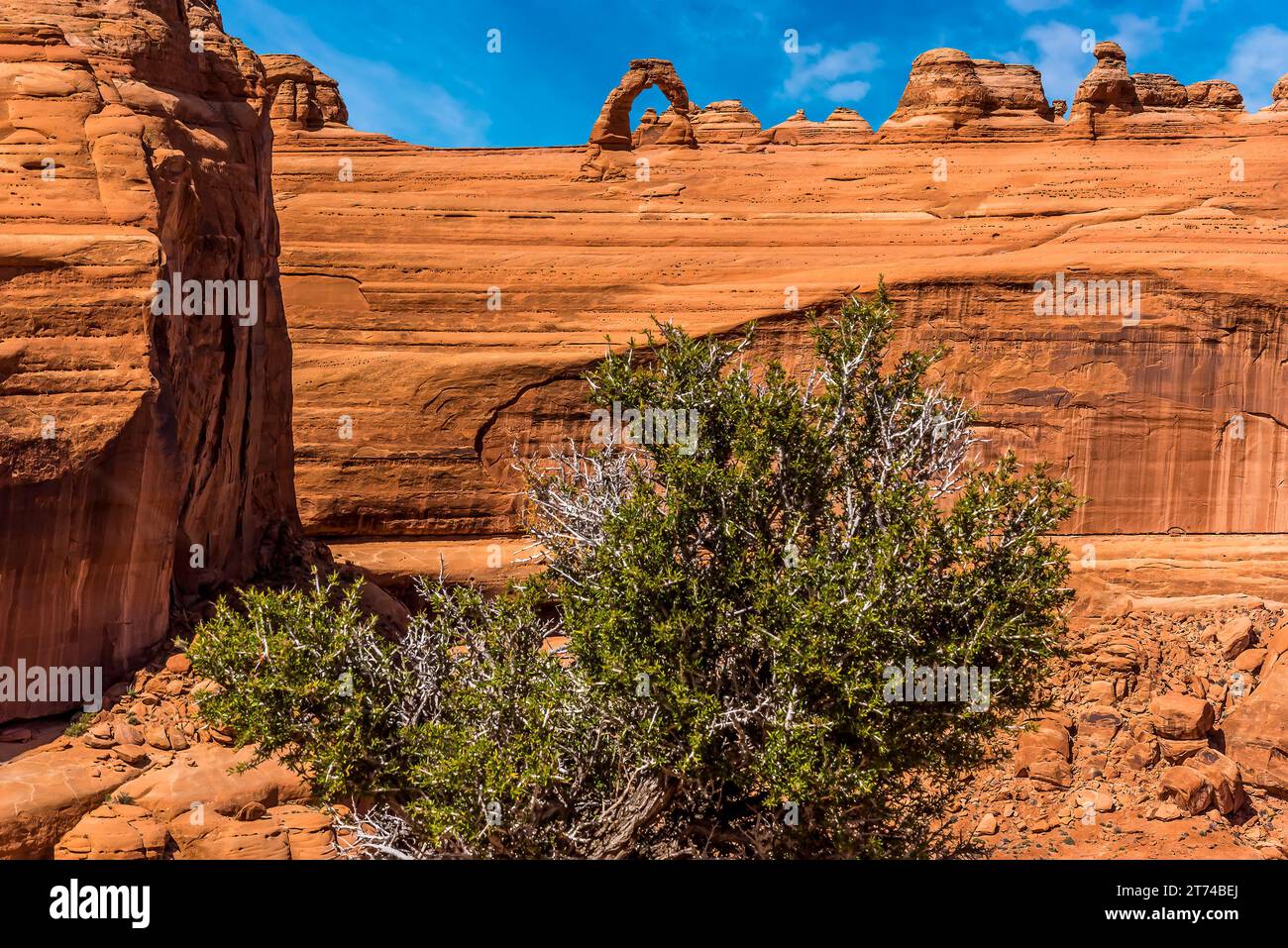 Delicate Arch as seen from upper Delicate Arch viewpoint in Arches ...