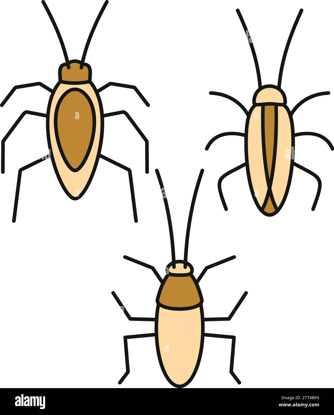 Wings abdomen Stock Vector Images - Alamy