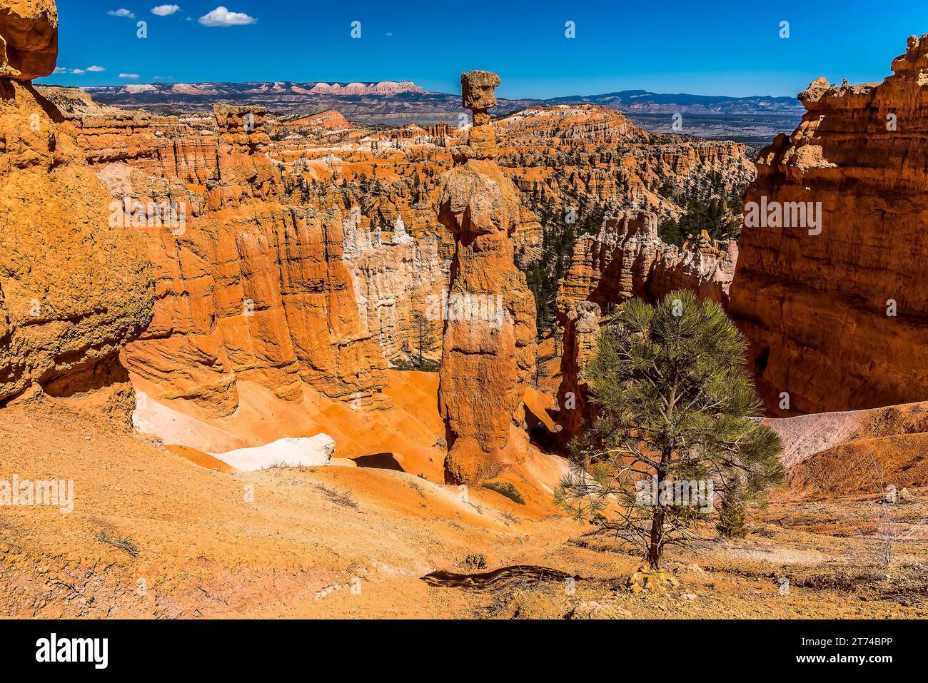 A view of the rock formation named Thor's hammer in Bryce Canyon, Utah ...