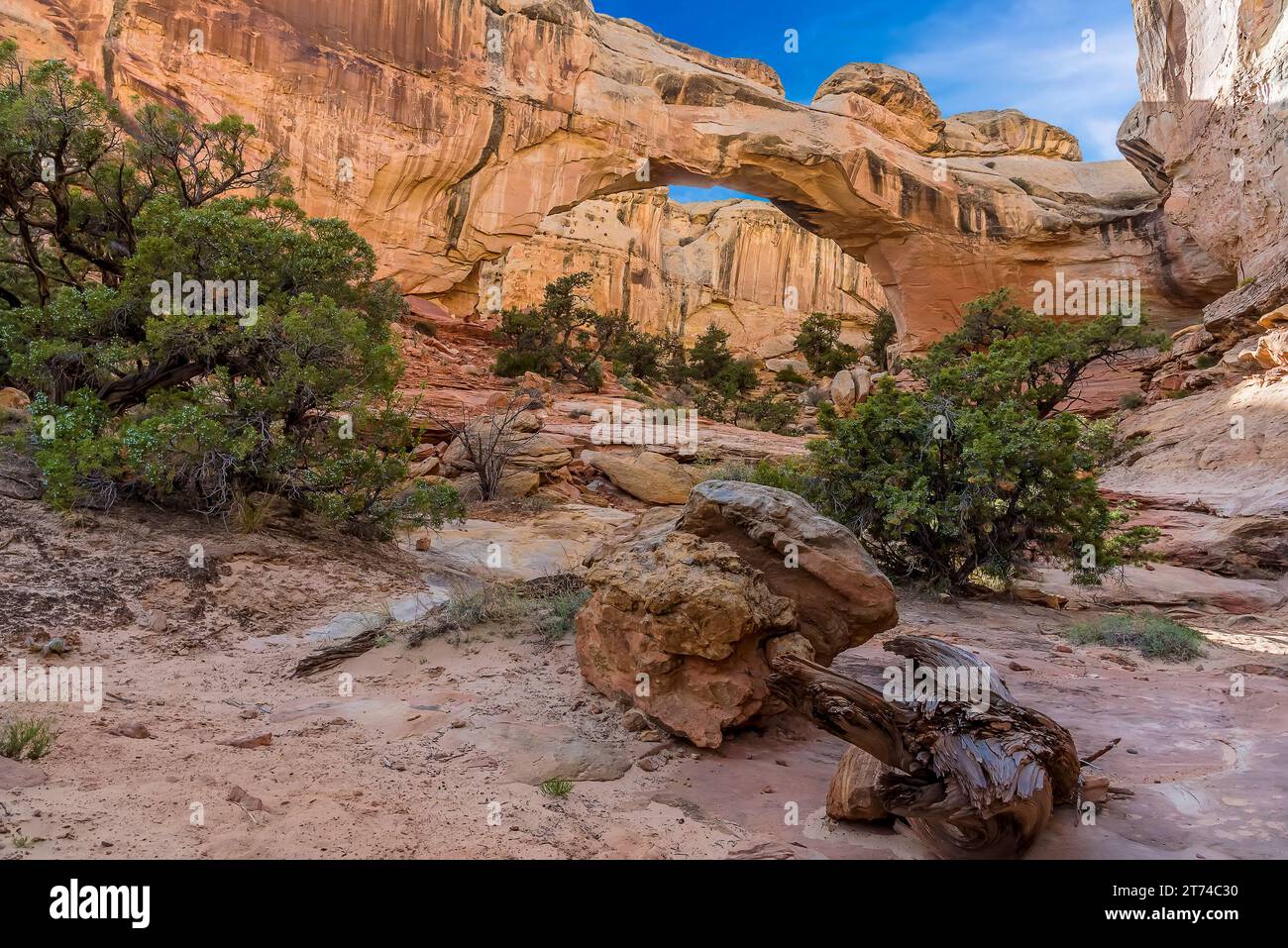Southern view of Hickman Bridge Arch in Capital Reef national park ...
