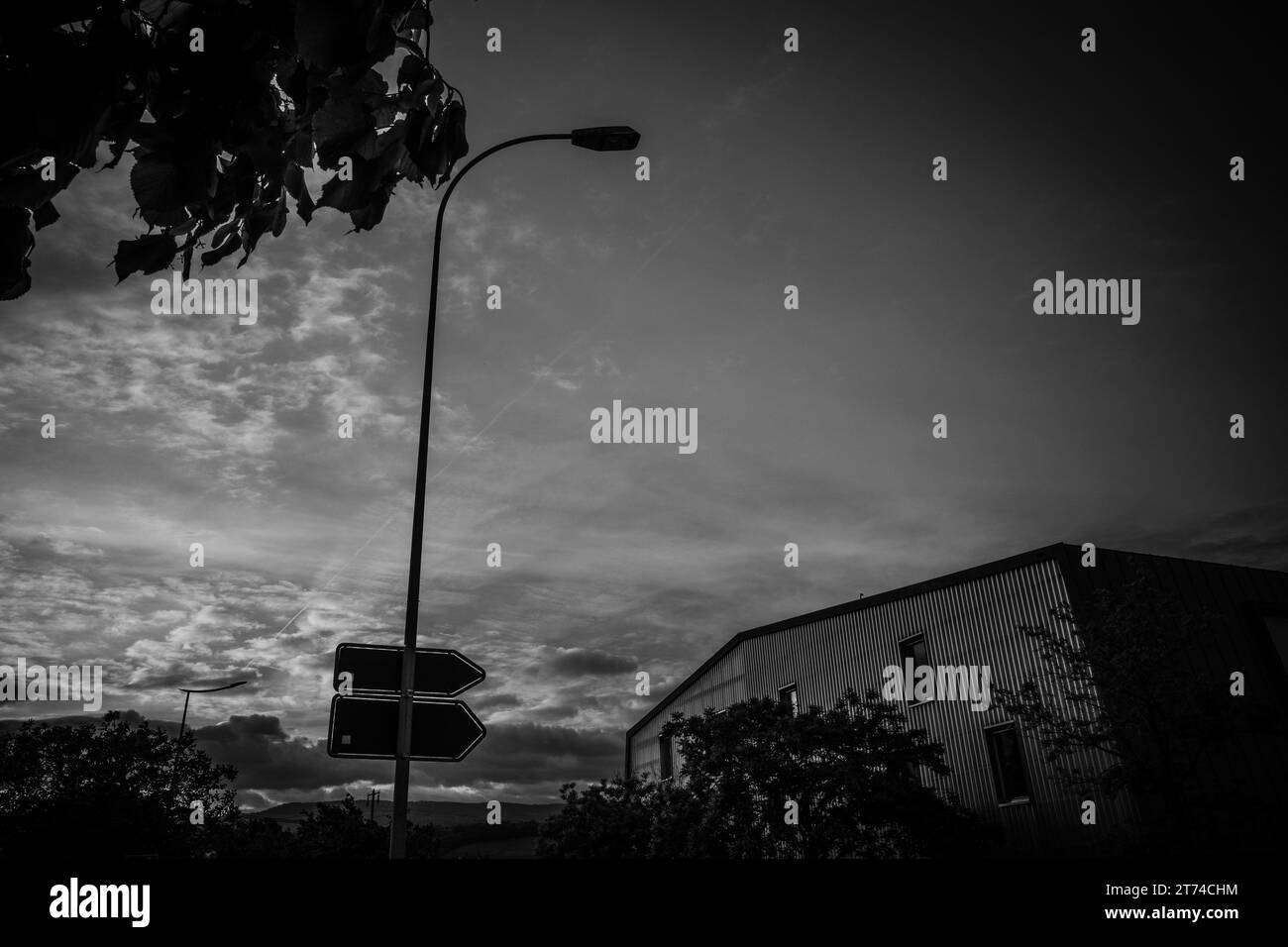 Striking black and white photograph of street signs against a backdrop ...