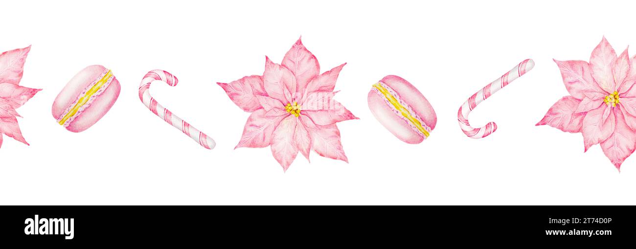 Pink poinsettia, New Year's candy canes, macarons. Watercolor hand ...