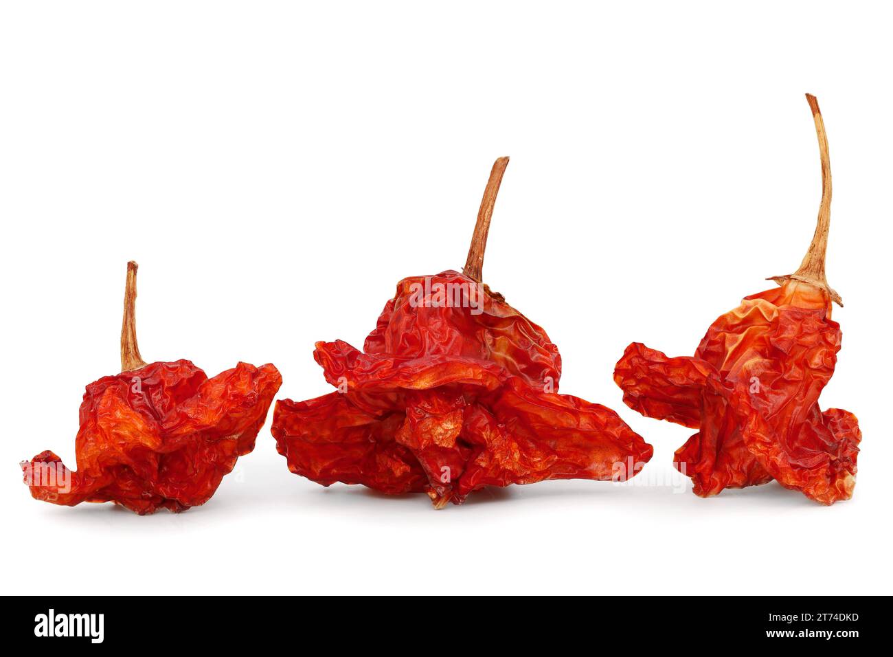 dried chilies of capsicum baccatum or Christmas bell chili pepper ...