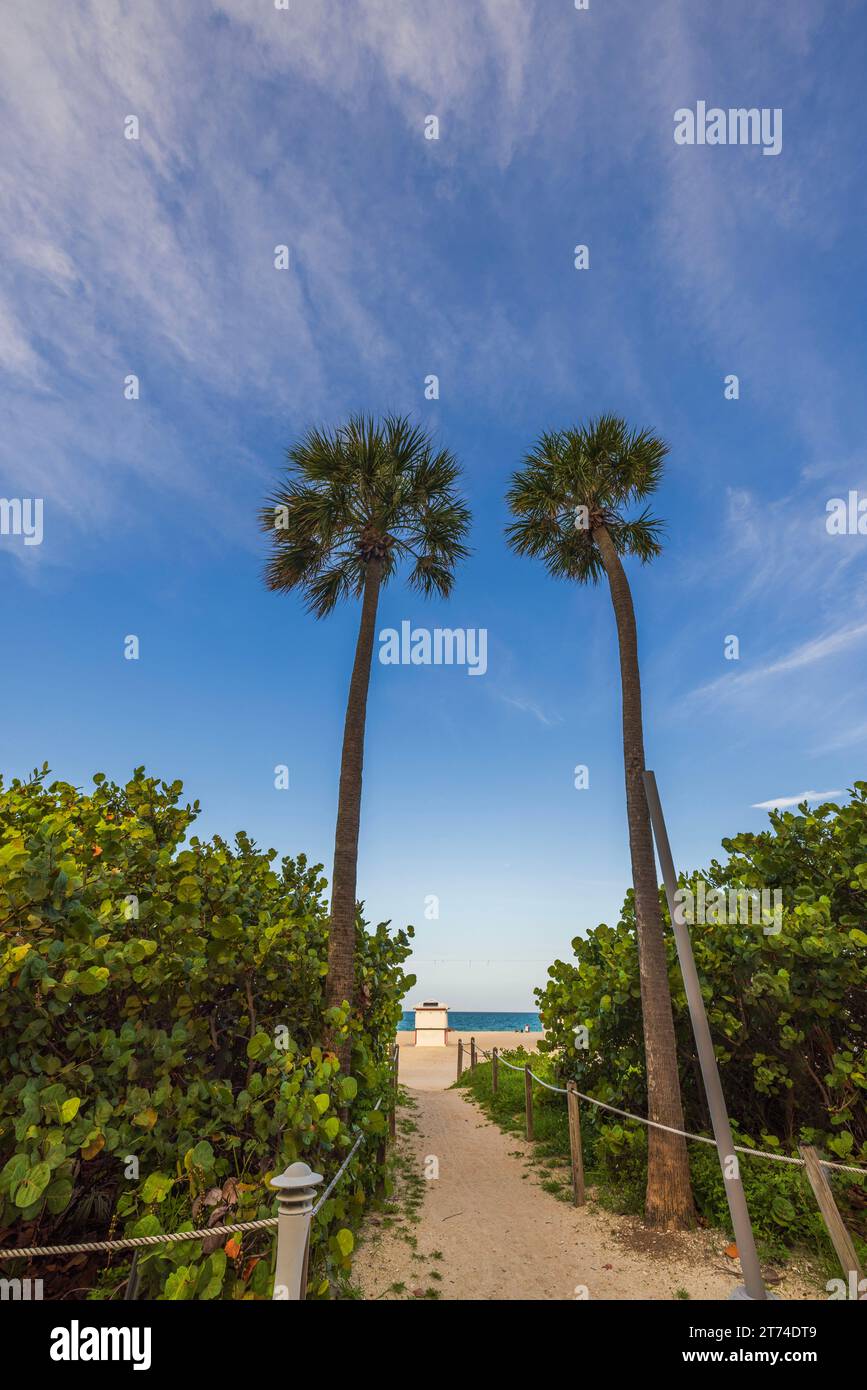 Picturesque pathway through tropical plants leading from red trail ...