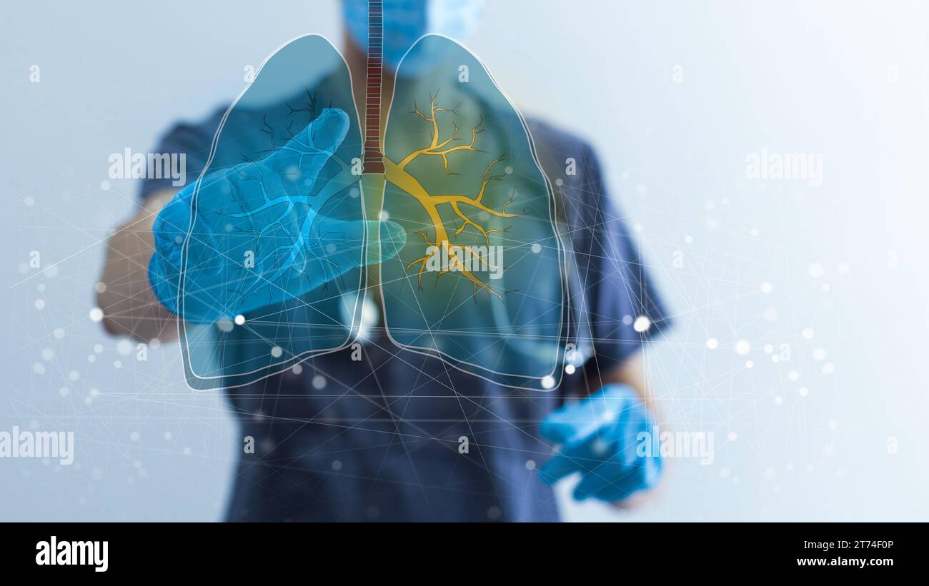 Beautiful human lungs anatomy on science background. 3d illustration ...