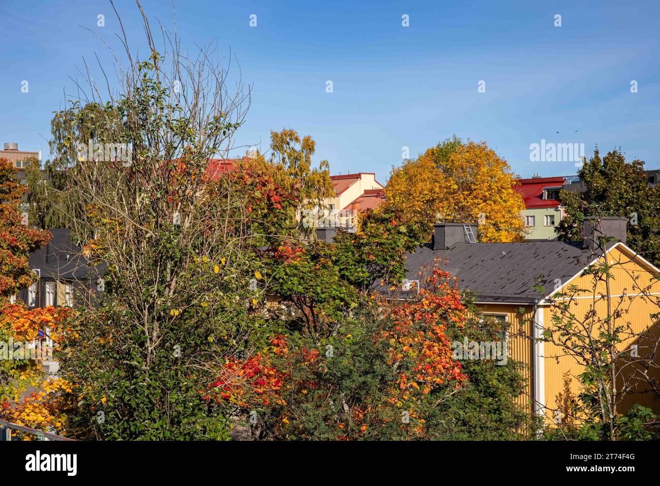 Autumn colors in Puu-Vallila district of Helsinki, Finland Stock Photo ...