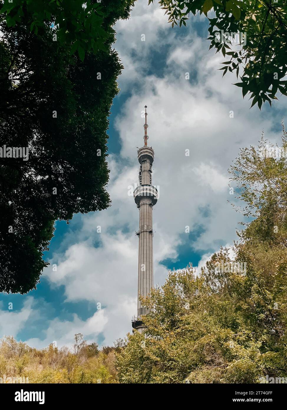 Almaty TV Tower view through the trees in summer Stock Photo - Alamy
