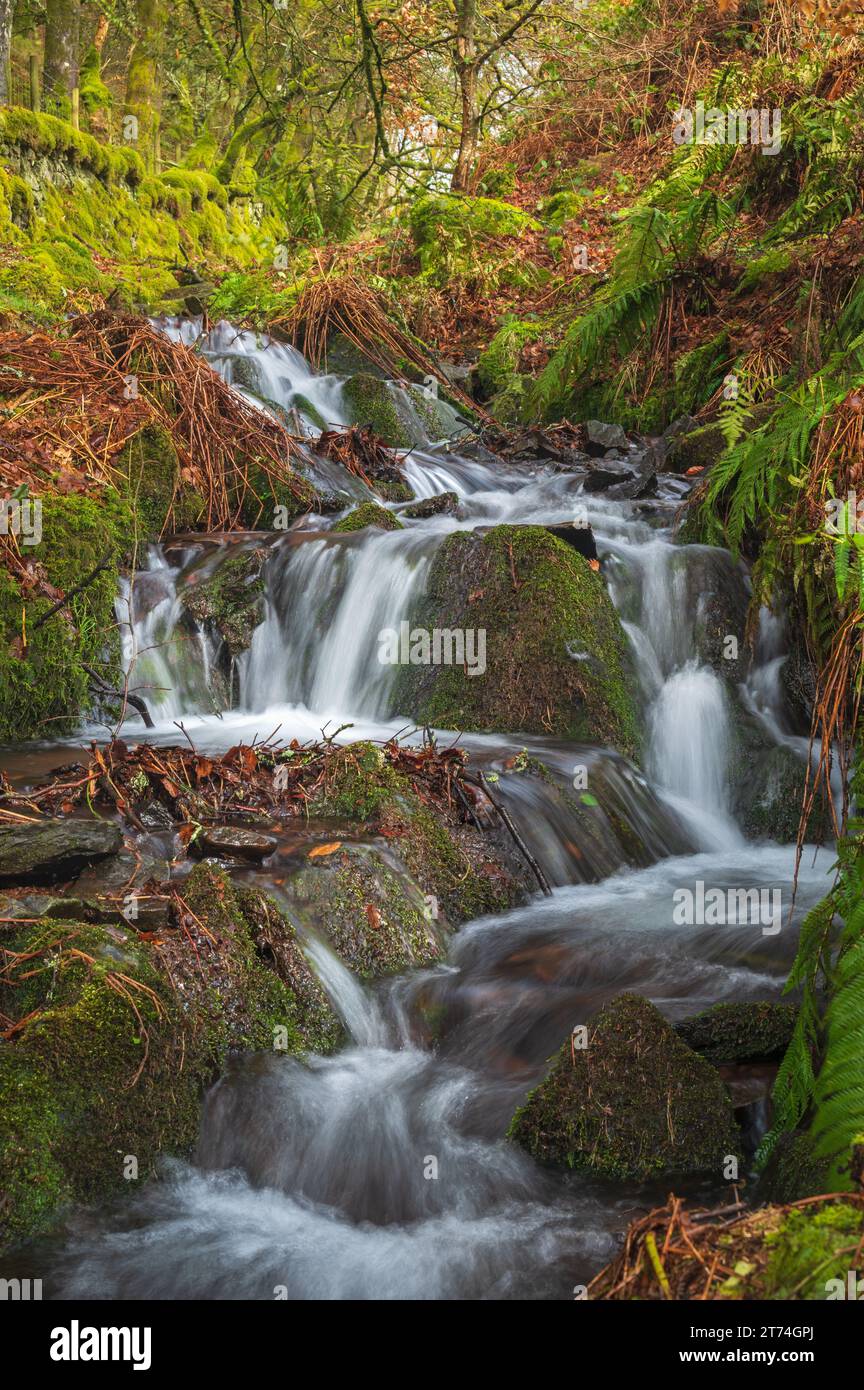 Porlock weir and winter hi-res stock photography and images - Alamy