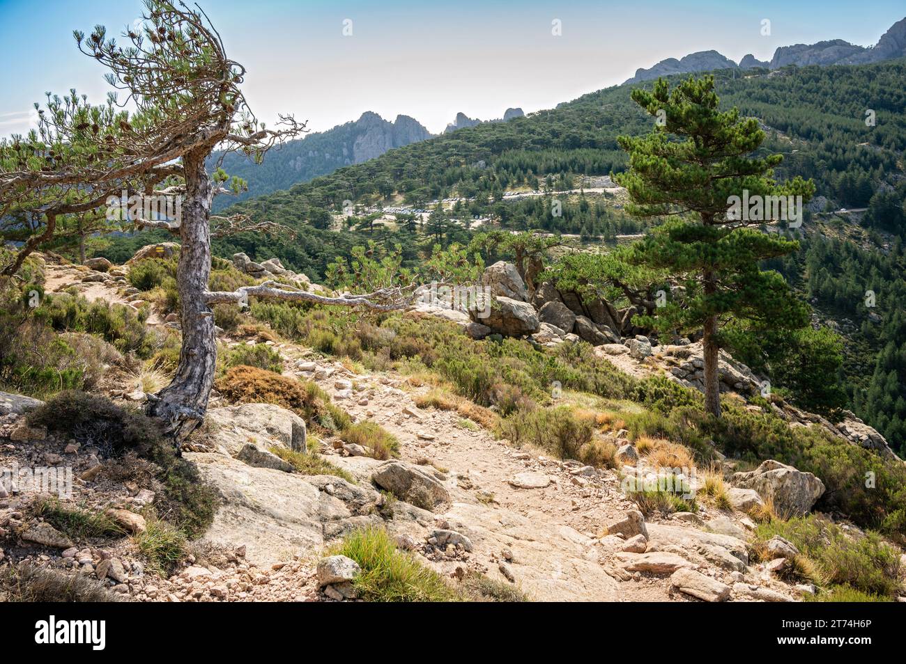 Footpath of the alpine variant of the GR20 near the Col de Bavella ...