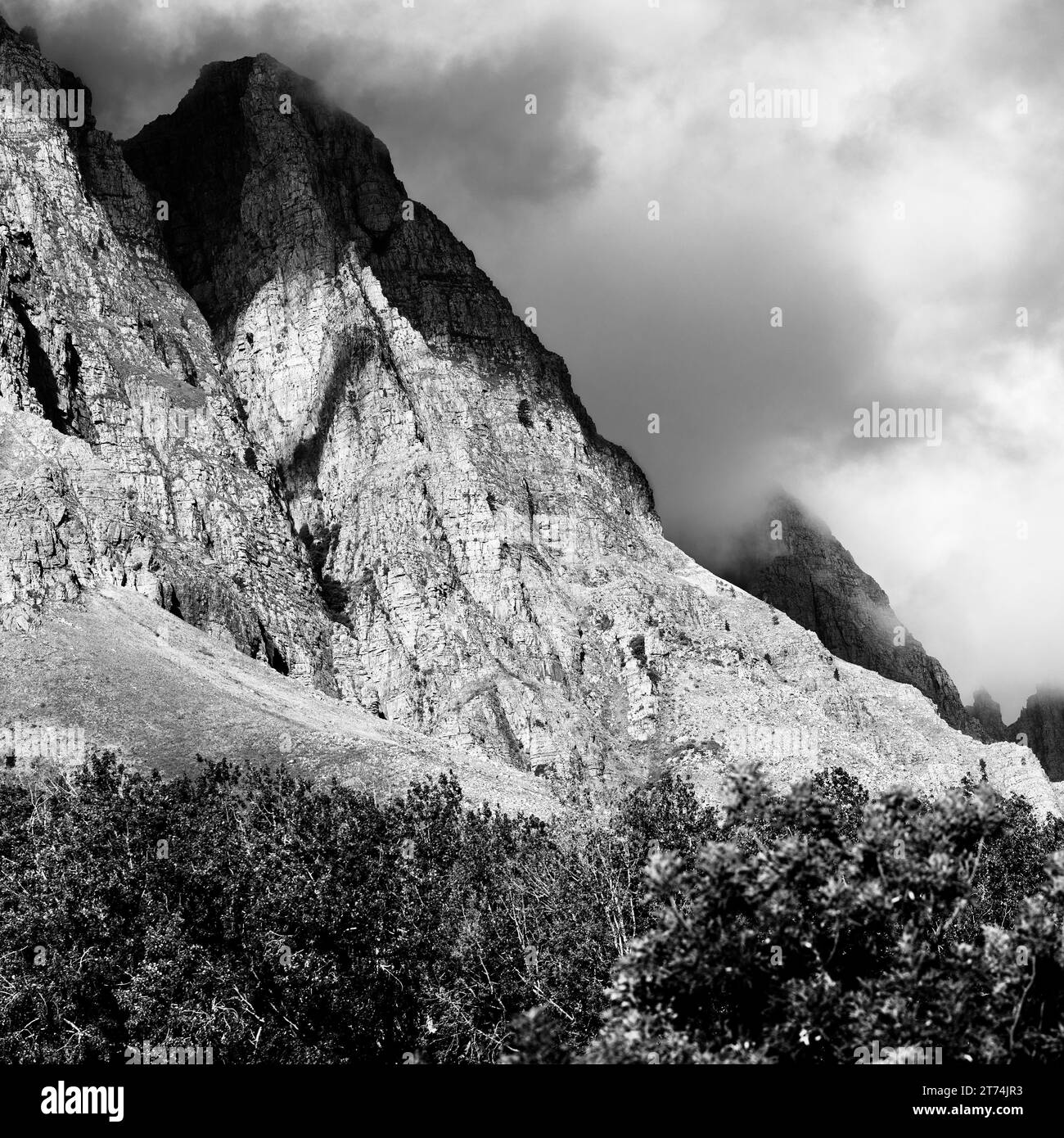 Green grass front Black and White Stock Photos & Images - Alamy