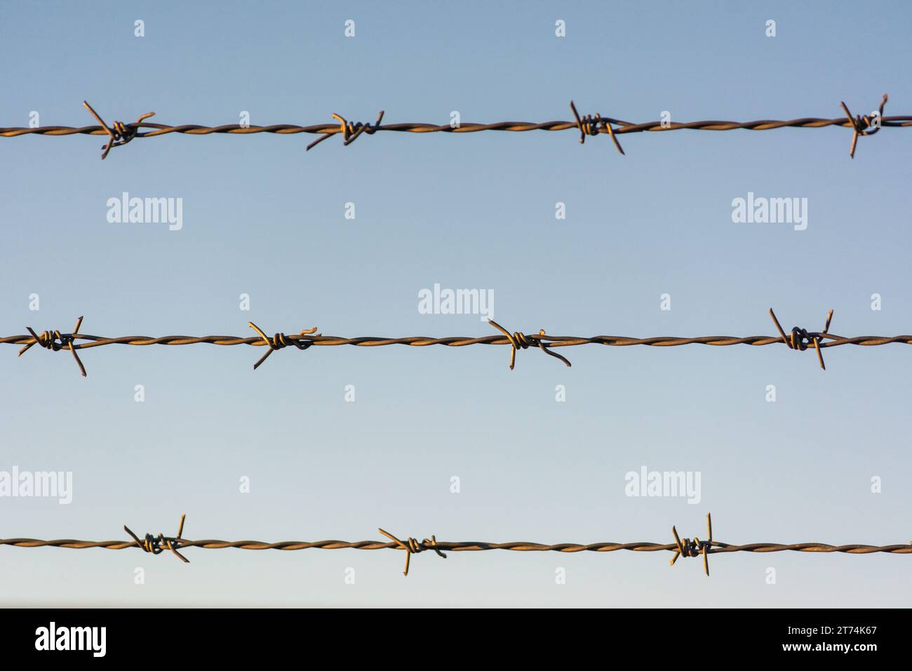 A barbed wire fence with pale blue sky background, three barbed wires ...