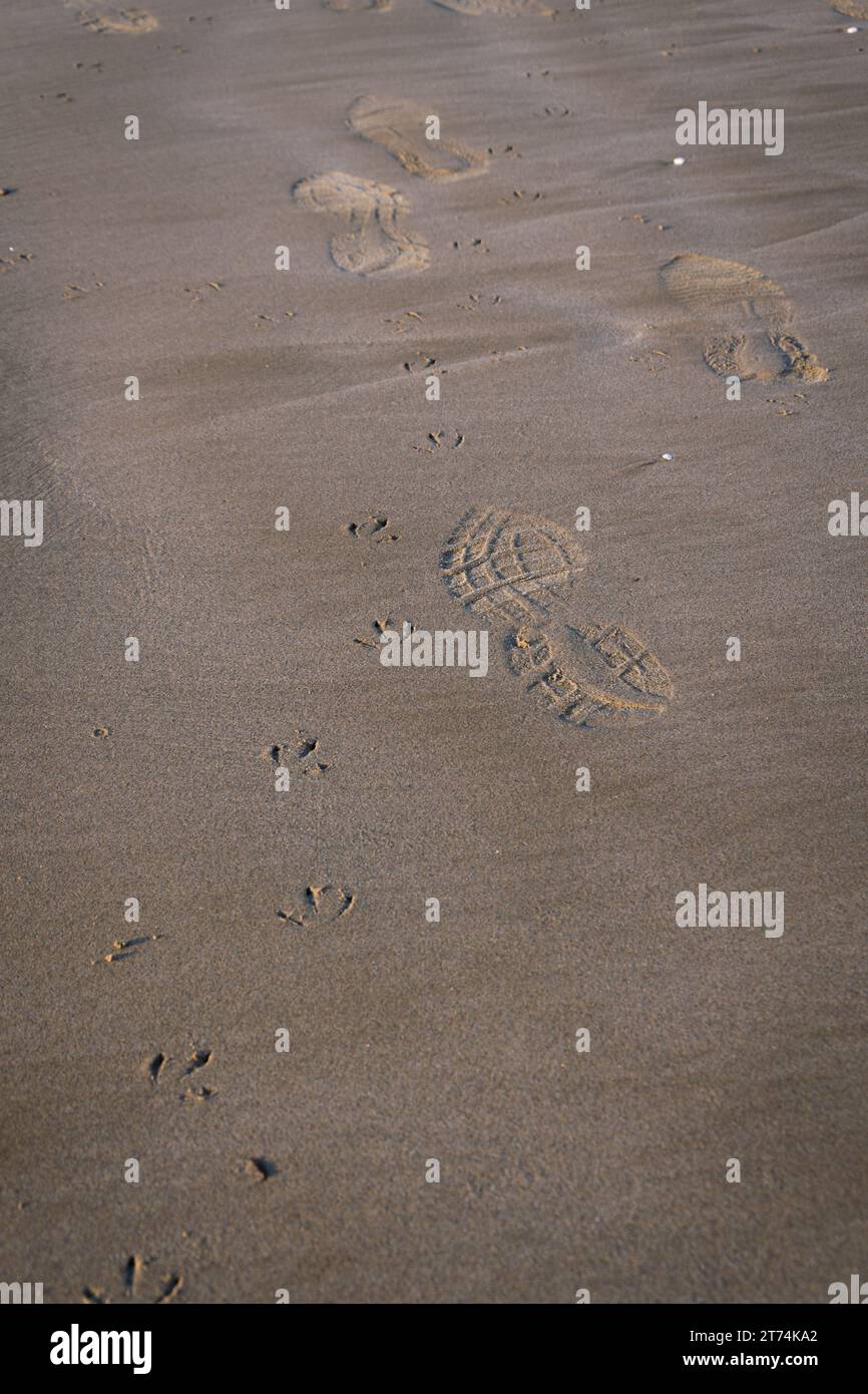 Footprint beach footsteps hi-res stock photography and images - Alamy