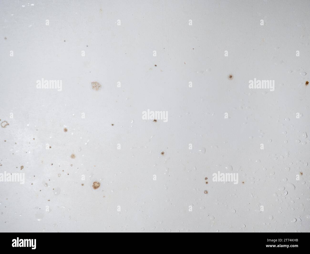 Mold on bathroom enamel. Mold spores in the bathroom. Black dots on a ...